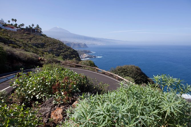 Enogastronomic Tour- 4 Hours in Tenerife - Booking and Cancellation Details