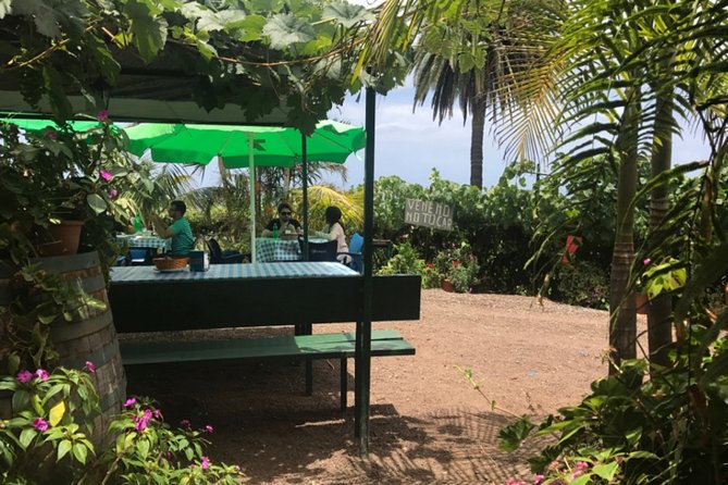 Enogastronomic Tour- 4 Hours in Tenerife - Traveler Reviews and Recommendations