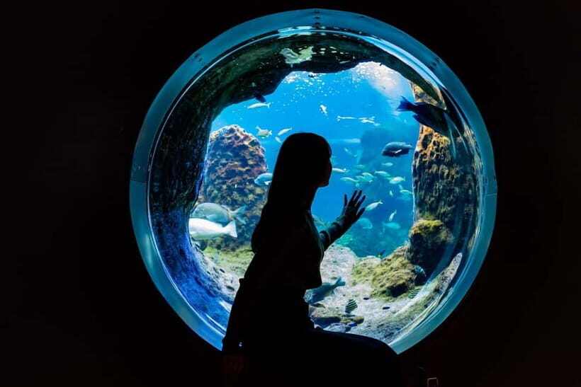 Enoshima Aquarium: Admission Ticket - Key Points