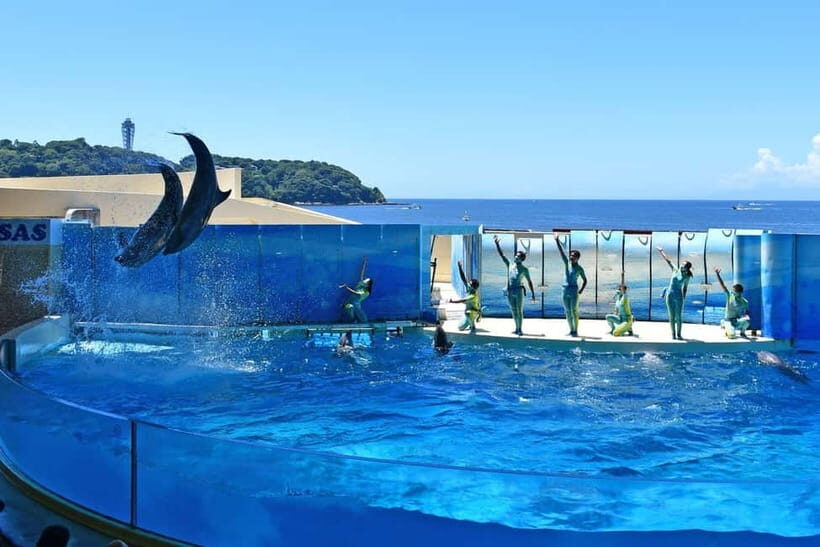 Enoshima Aquarium: Admission Ticket - An In-Depth Look at Enoshima Aquarium