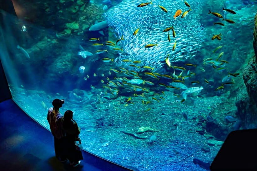 Enoshima Aquarium: Admission Ticket - Frequently Asked Questions
