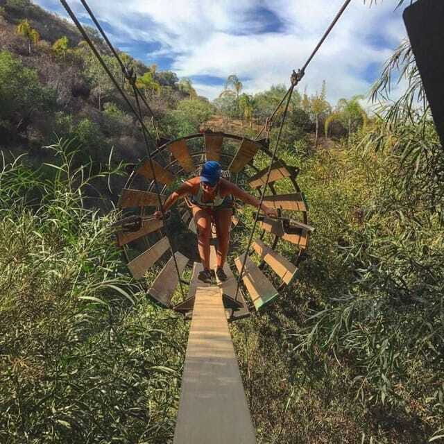 Ensenada: A thrilled family adventure of ziplines - The Real Value for Travelers