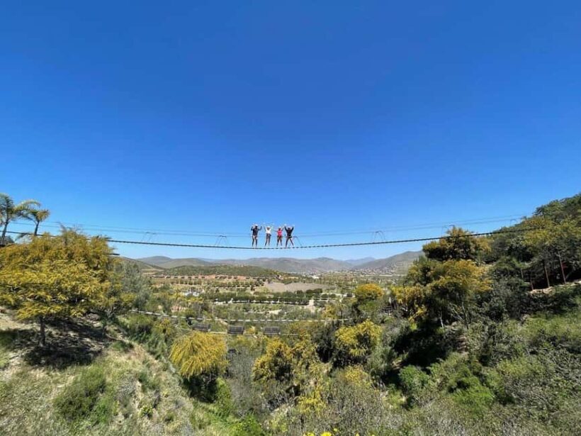 Ensenada: A thrilled family adventure of ziplines - Who Will Enjoy This Tour?