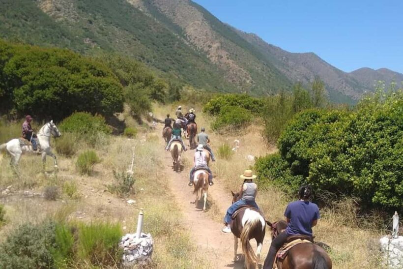 Ensenada: Bajas Hidden Trails: Horseback Ride w/ Ocean View - Exploring Ensenada’s Wild Side on Horseback
