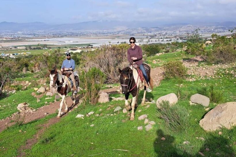 Ensenada: Bajas Hidden Trails: Horseback Ride w/ Ocean View - Who Will Love This Experience?