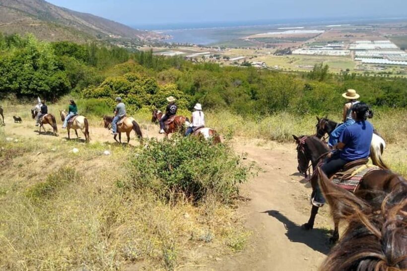 Ensenada: Bajas Hidden Trails: Horseback Ride w/ Ocean View - FAQ
