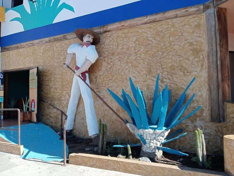 Ensenada: Beach and Bar Experience - The Value and Overall Experience