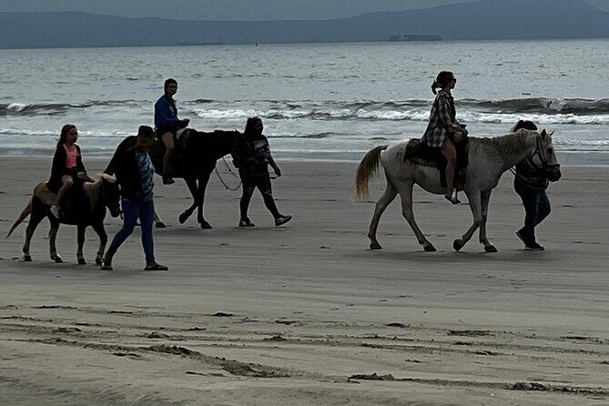 Ensenada City Tour on Ford T Replica and Beach Horse Back Riding - An In-Depth Look at the Ensenada Tour Experience