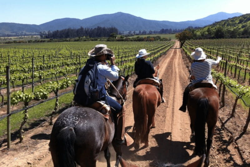 Ensenada: Horseback Riding at the Vineyards - What to Expect During the Riding Tour