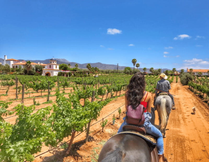 Ensenada: Horseback Riding at the Vineyards - Authentic Experiences and Authentic Scenery