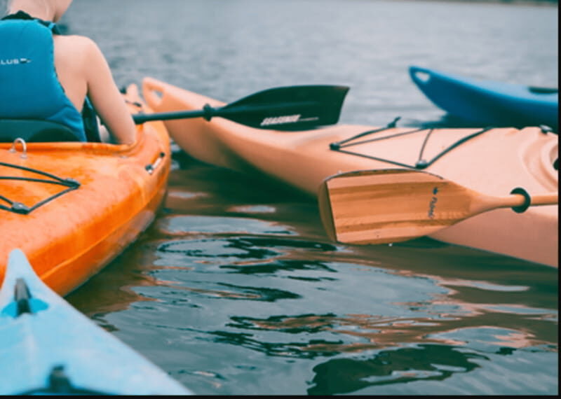 Ensenada: Kayaking at La Bufadora - Who Is This Tour For?