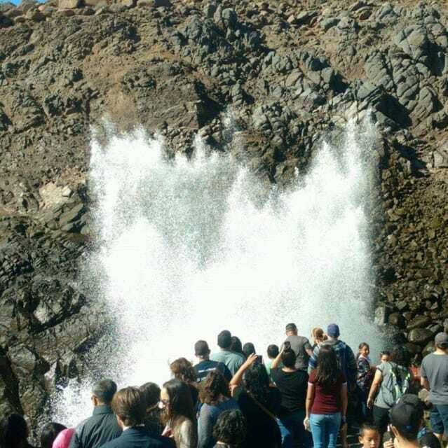 Ensenada: La Bufadora Guided Tour with Tequila Tasting - The Sum Up
