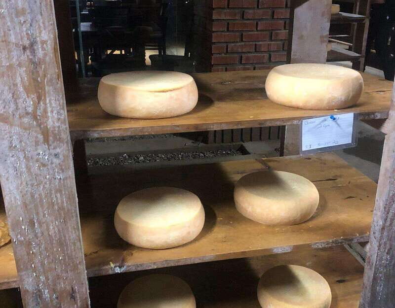 Ensenada: Ojos Negros Valley Cheese and Wine Tasting Tour - The Value Proposition