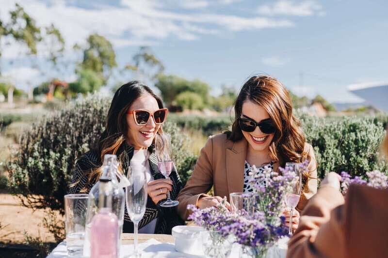 Ensenada: Picnic in Lavender Fields at Aires de Lavanda - Key Points