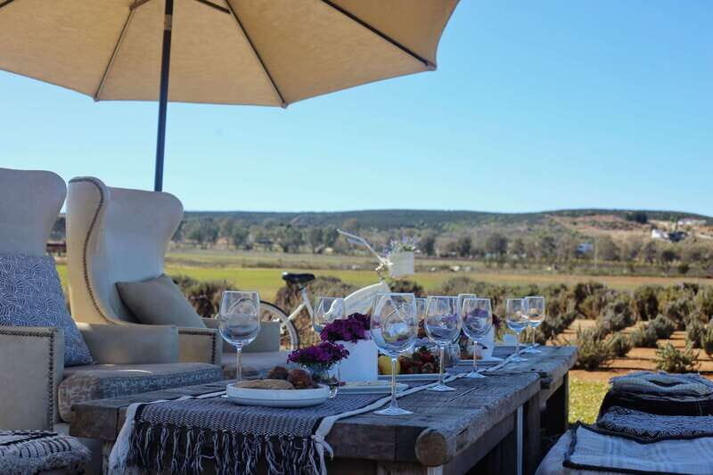 Ensenada: Picnic in Lavender Fields at Aires de Lavanda - Who Will Love This Tour?