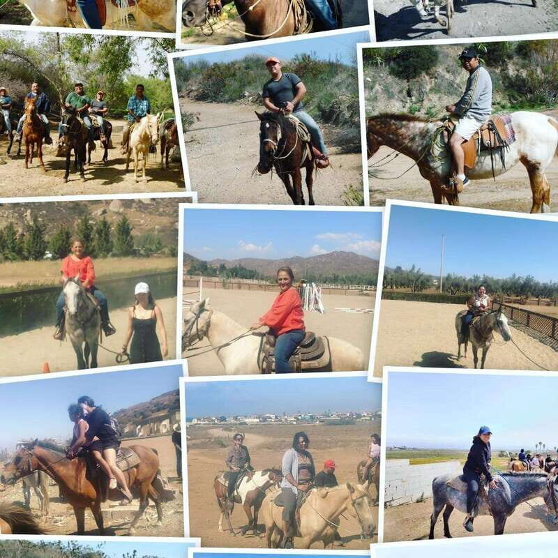 Ensenada: Punta Banda Horseback Riding Tour - Exploring Punta Banda on Horseback