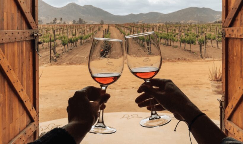 Ensenada: Valle de Guadalupe Wine Tasting Tour - Discovering Valle de Guadalupe: More Than Just Wine