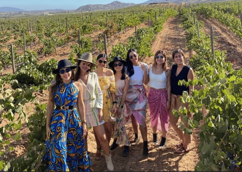 Ensenada: Valle de Guadalupe Wine Tasting Tour - What Sets This Tour Apart