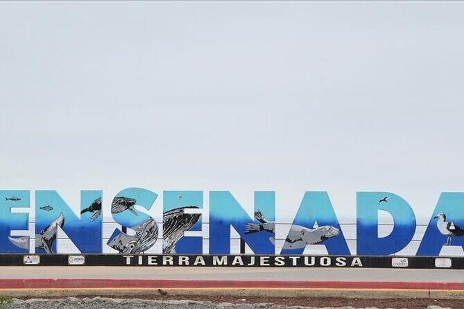 Ensenada Zipline and Blowhole Tour - Authenticity and Value