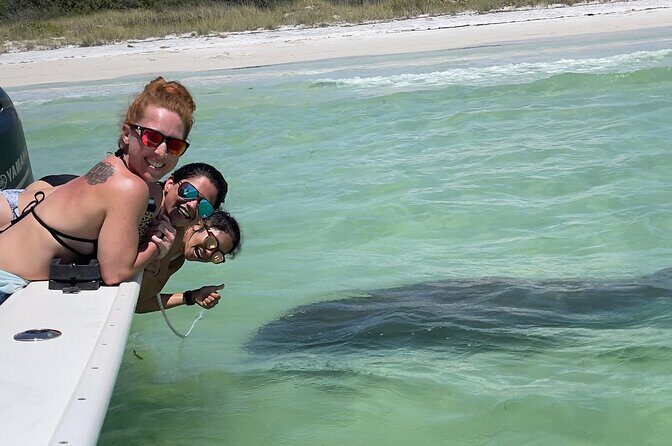 Enticement Charters Snorkel, Shelling in St. Petersburg, FL 3 Hrs - Who Will Love This Tour?