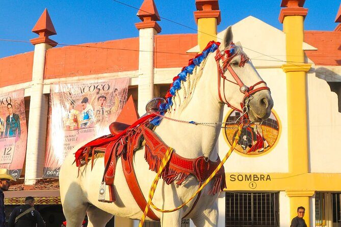 Entrance and transfer to the Texcoco International Horse Fair26 - Final Thoughts