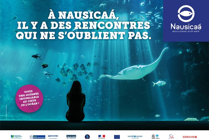 Entrance Ticket Nausicaa, the Biggest Aquarium in Europe - Visitor Experiences and Reviews