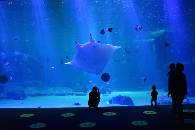 Entrance Ticket Nausicaa, the Biggest Aquarium in Europe - Frequently Asked Questions