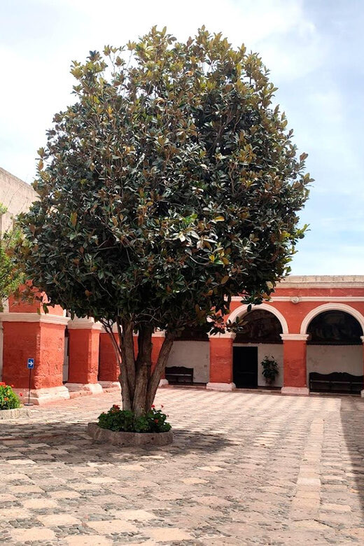 Entrance to the Monastery of Saint Catherine - Key Points