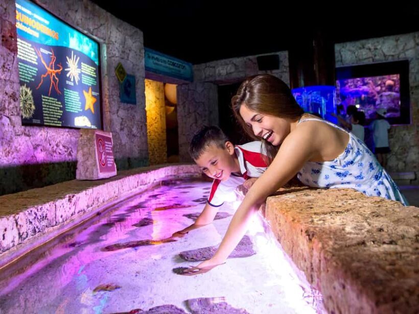 Entrance to Xcaret Adventure Park - Final Thoughts: Is It Worth It?