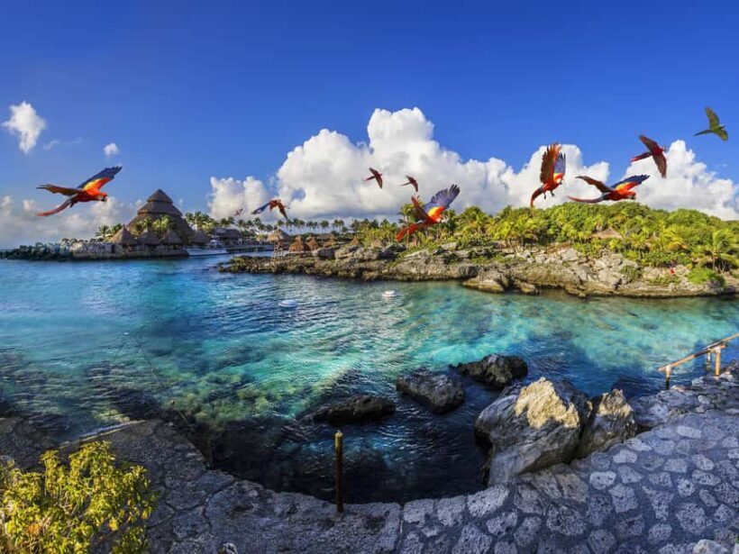 Entrance to Xcaret Park with access to the night show included. - An In-Depth Look at Xcaret Park and Its Offerings
