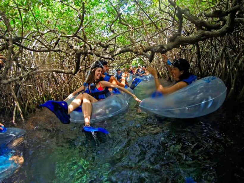 Entrance to Xel-Há Park with Food and Open Bar Included - What Travelers Say