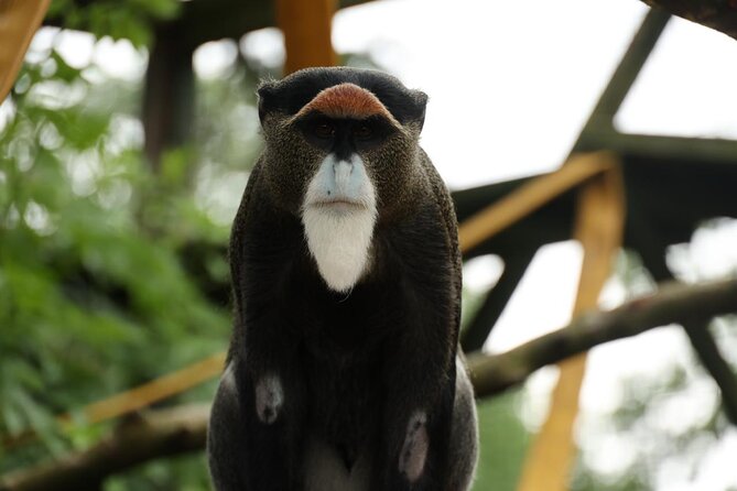 Entry Ticket to Hoo Zoo and Dinosaur World in Telford - Amenities for Families and Accessibility