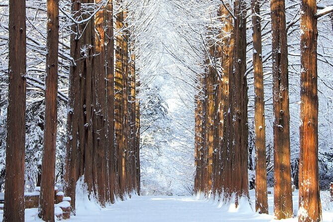 Eobi Ice Valley Nami Island and Alpaca World Tour from Seoul - A Full Breakdown of the Tour Experience