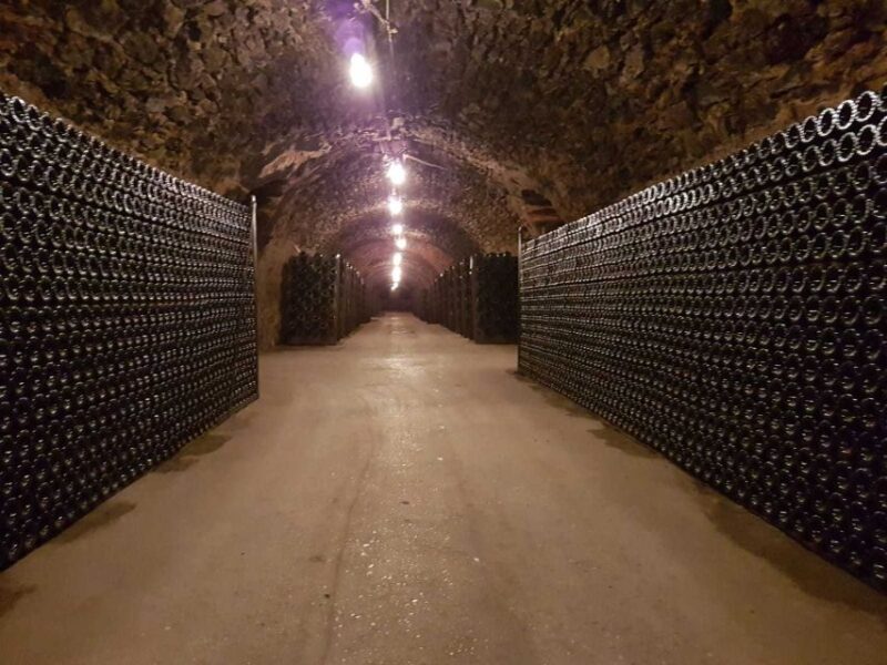 Epernay: Guided Tour of Champagne Cellar With Tastings - Customer Feedback and Ratings