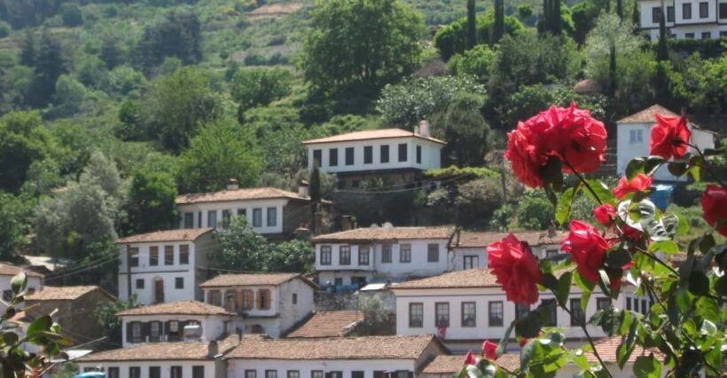 Ephesus and Sirince Tour from Izmir / Kusadasi - An In-Depth Look at the Ephesus and Sirince Tour