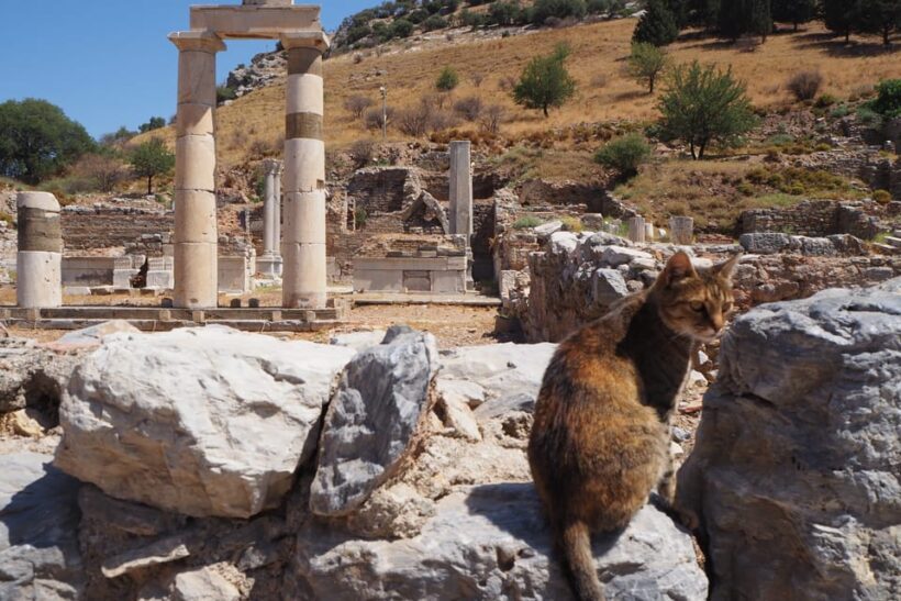 Ephesus: Half-Day Tour from Kusadasi or Izmir - Final Thoughts
