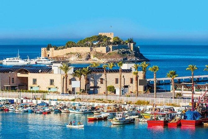 Ephesus Shore Excursion: Private Guide and Vehicle - Accessibility and Recommendations