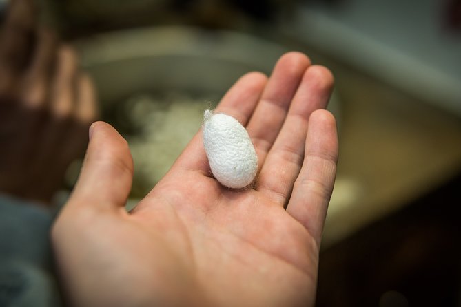 Ephesus Small Group Day Tour From Izmir - Tour Inclusions