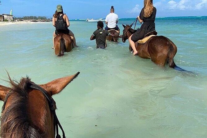Epic Horseback Ride & Swim and Blue Hole From Montego Bay Private - FAQ