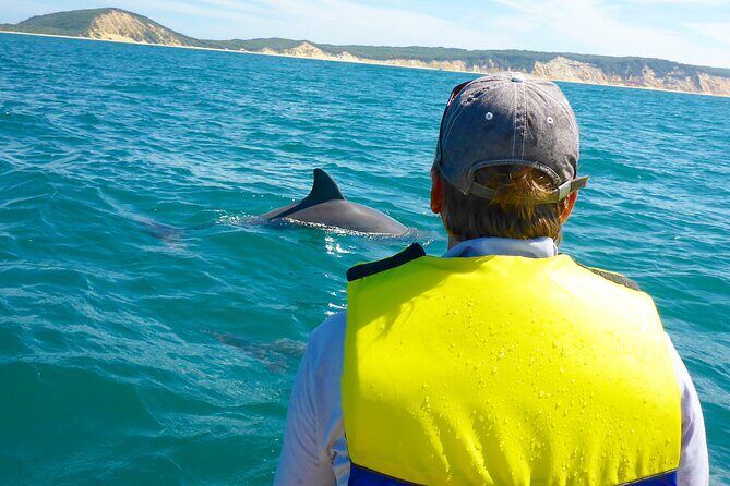 Epic Rainbow Beach Dolphin Kayak and 4WD Adventure Tour - Key Points