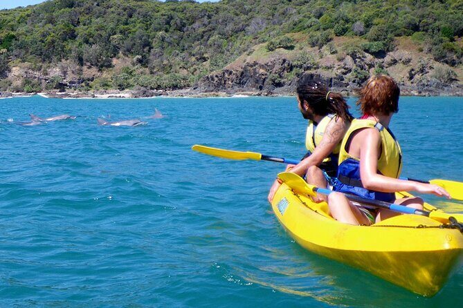 Epic Rainbow Beach Dolphin Kayak and 4WD Adventure Tour - What to Expect on the Tour