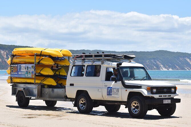 Epic Rainbow Beach Dolphin Kayak and 4WD Adventure Tour - Scenery and Marine Life: What You’ll See