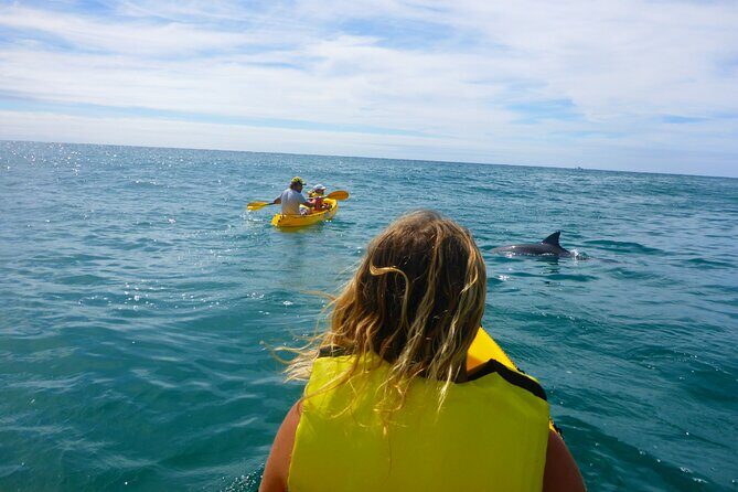 Epic Rainbow Beach Dolphin Kayak and 4WD Adventure Tour - FAQ