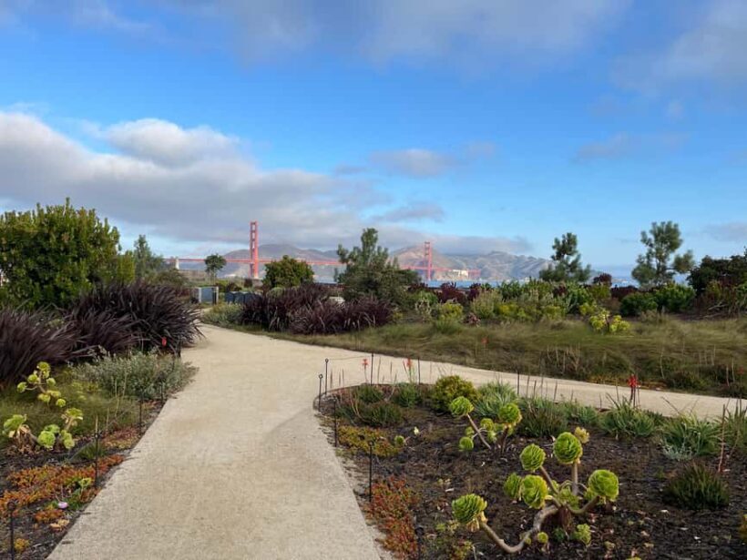 Epic San Francisco Views Urban Hiking Tour  City and Nature - What to Expect from the Tour
