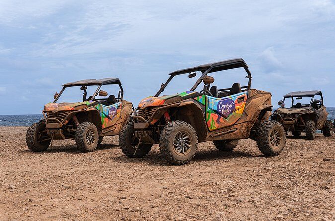 Epic UTV west coast adventure - Who Is This Tour Best For?