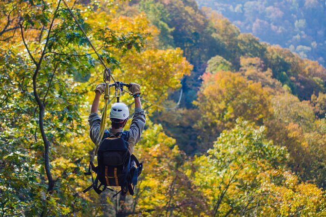 Epic Zipline Canopy Tour - The Gorge Zipline: Saluda, NC - What to Expect on the Tour