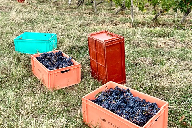 Epicurean Discovery Tour With Wine & Local Specialties - Meeting Details