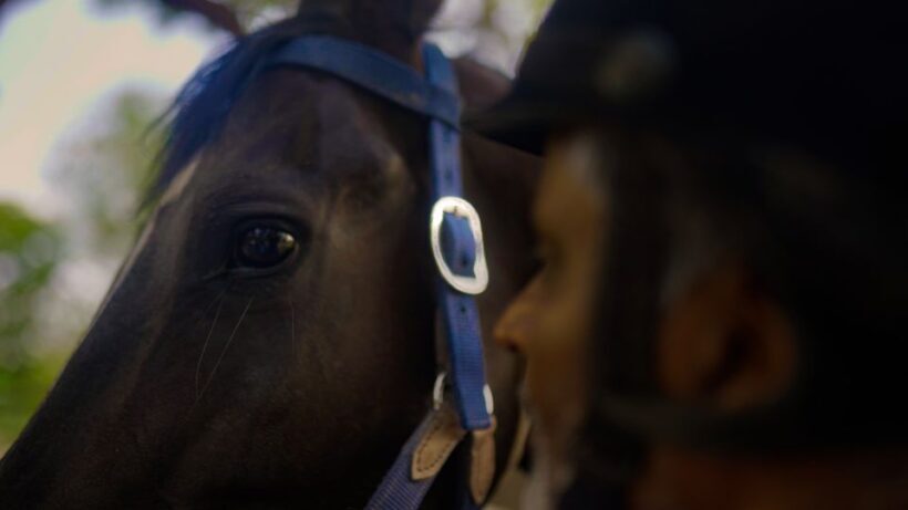 Equestrian Escape: Horse Safari Adventure - Final Thoughts