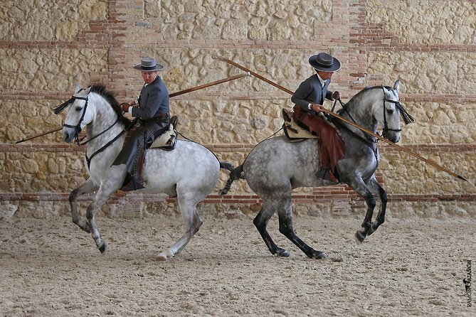 Equestrian Show Royal Stables of Córdoba - Equestrian Artistry