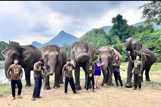Erawan Waterfall and Elephant care from Bangkok -Private Tour - Frequently Asked Questions